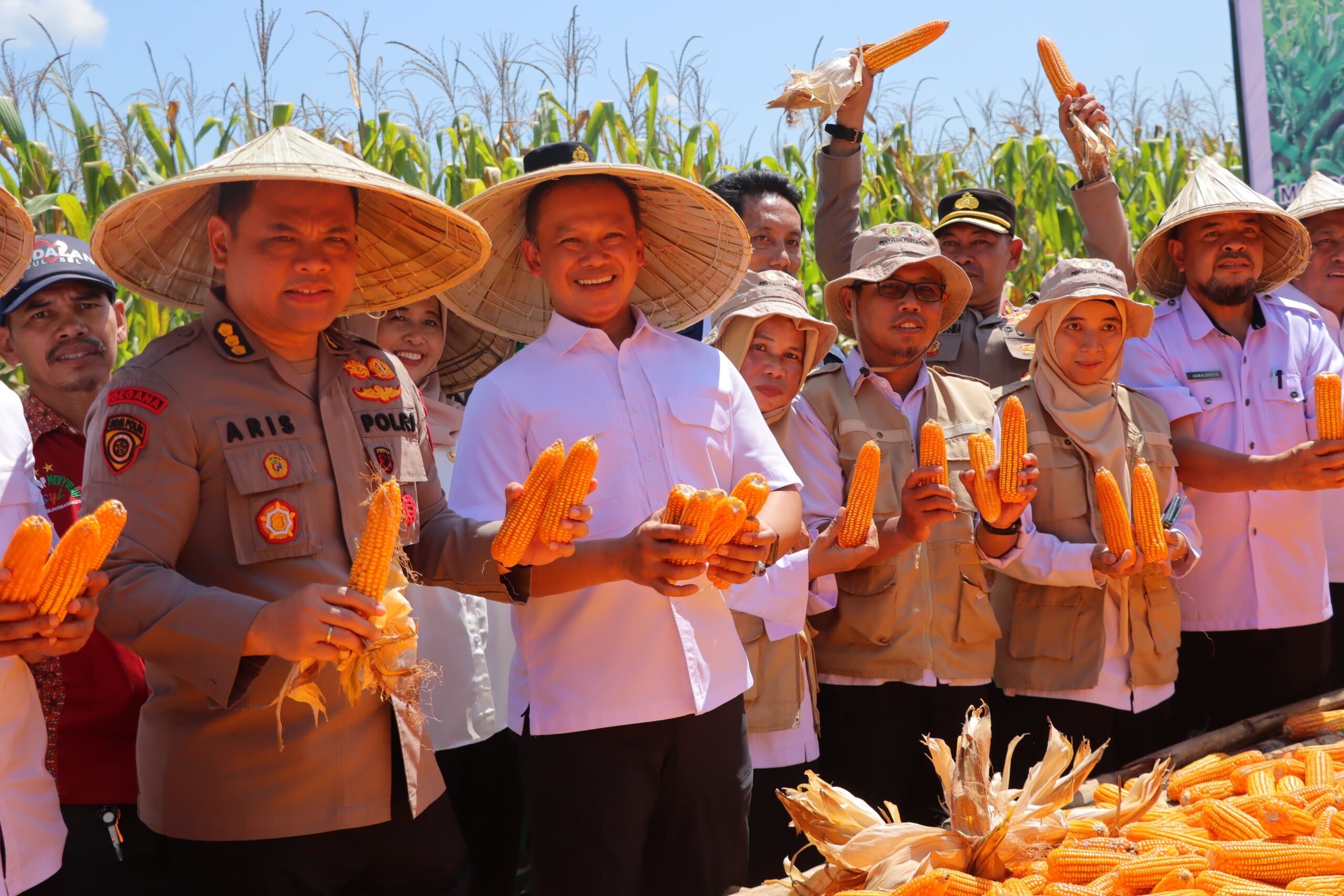 Itwasum Polri Tinjau Kebun Jagung Maros, Dukung Percepatan Swasembada ...